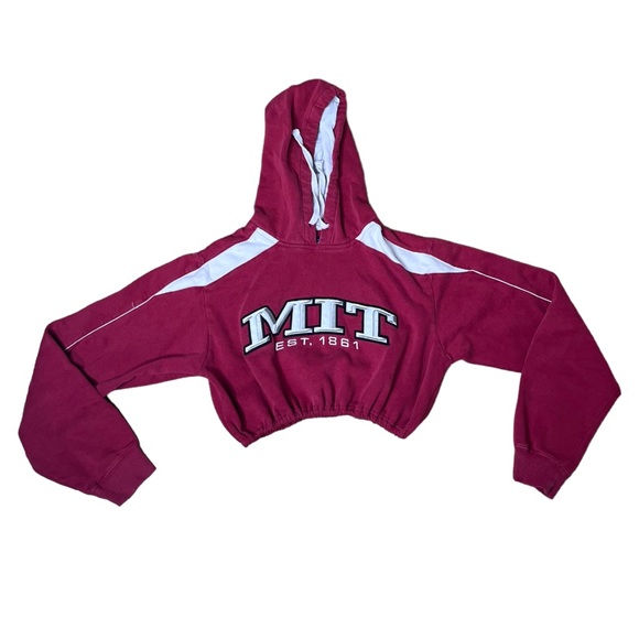 Champion | Tops | Mit Reworked Custom Crop Hoodie | Poshmark